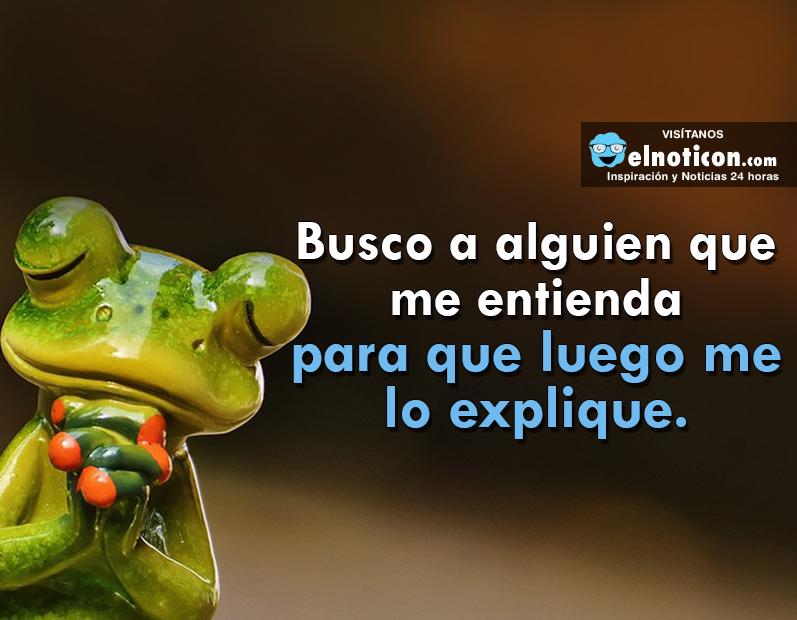 Busco a alguien que me entienda para que luego me lo explique - ElNoti.com Busco a alguien que me entienda para que luego me lo explique - ElNoti.com